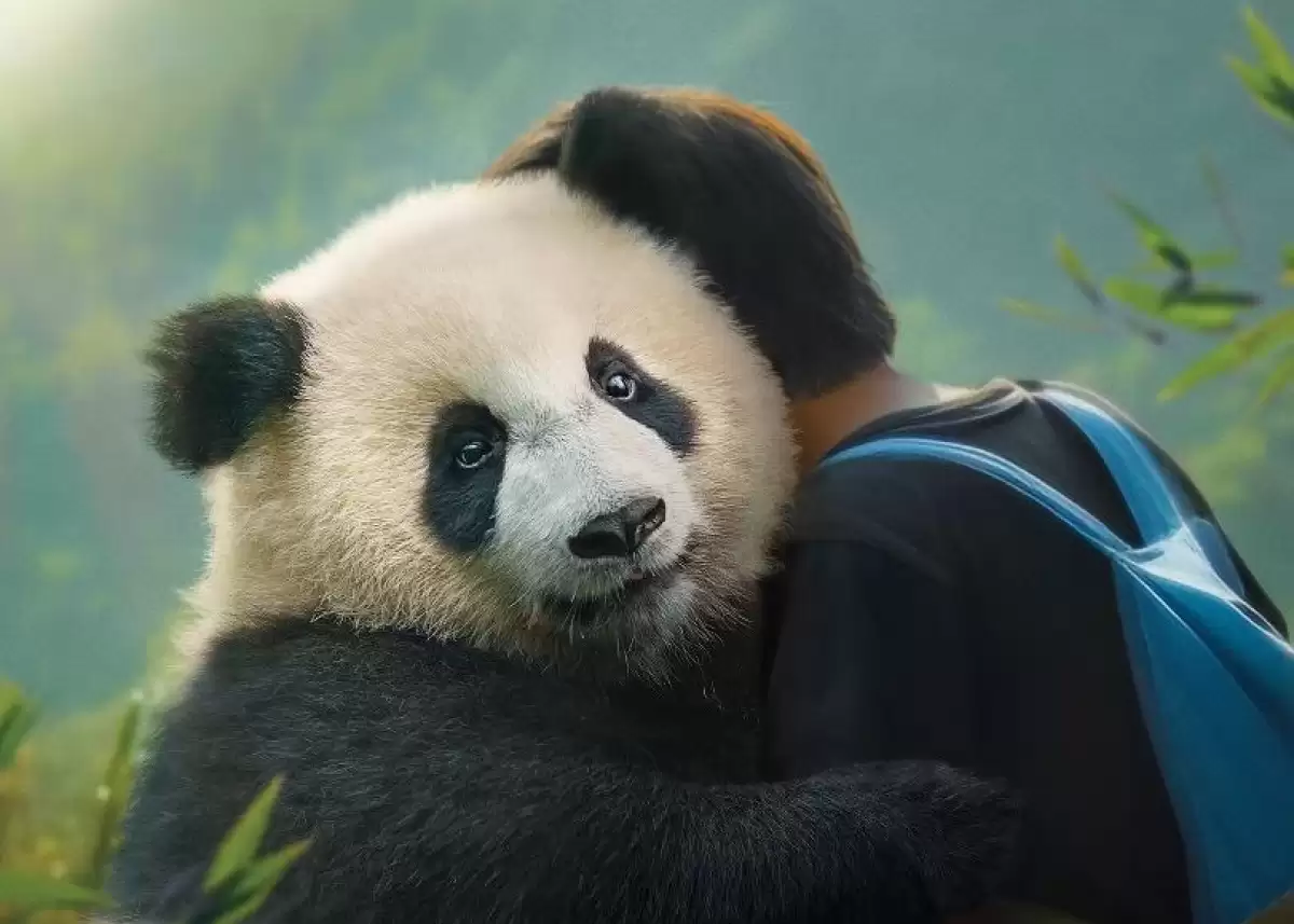 Moon le Panda : film pour enfants avec un vrai panda